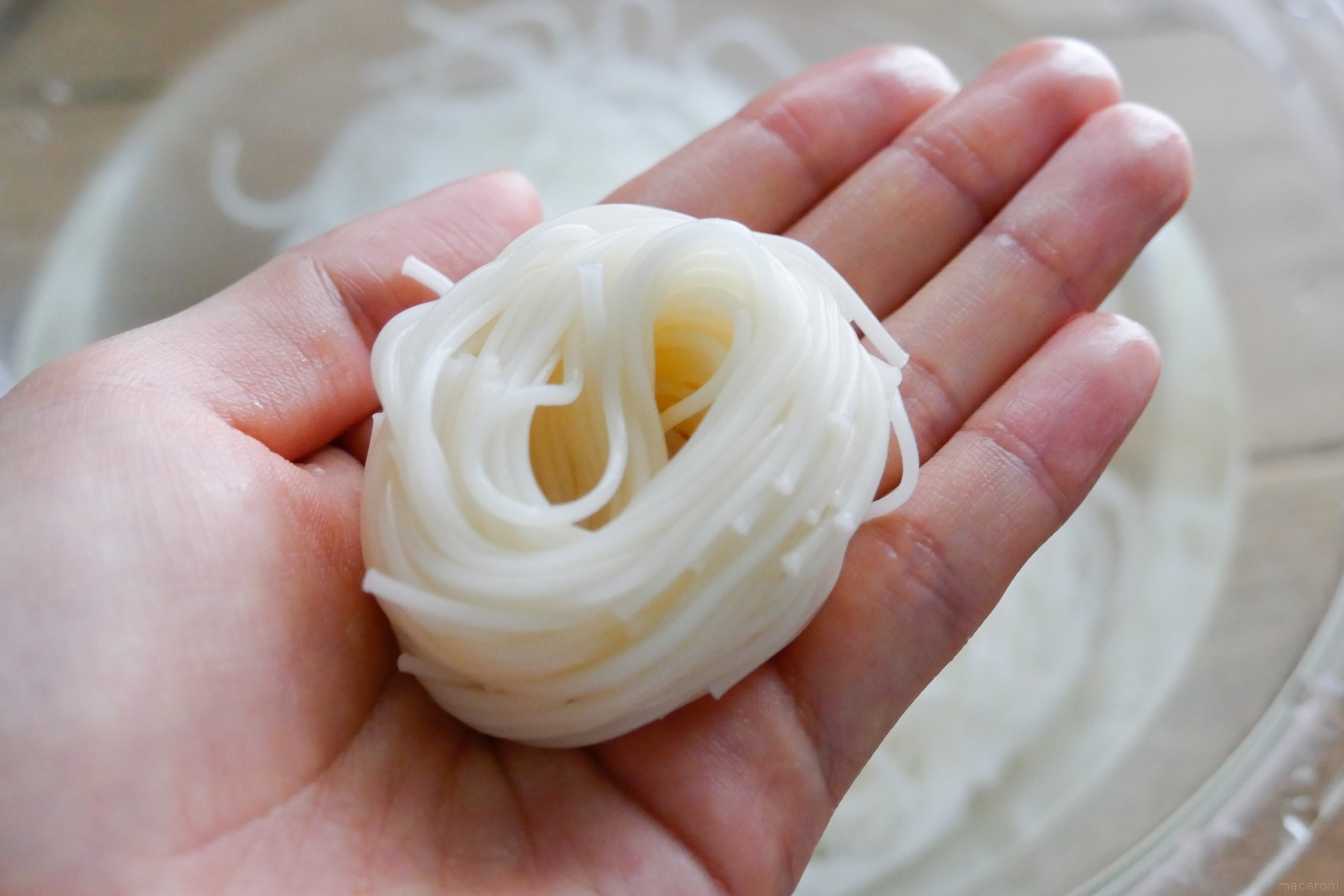 フードコーディネーター直伝！そうめんの盛り付け方 - macaroni