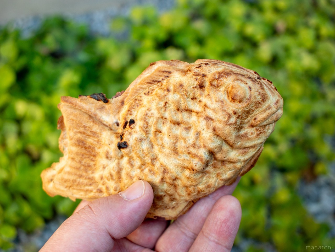 吉祥寺で人気のたい焼き屋5選。食べ歩きにおすすめのお店を徹底レポート - macaroni